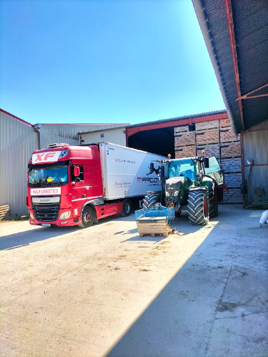 Echipa :: Vulplogistics